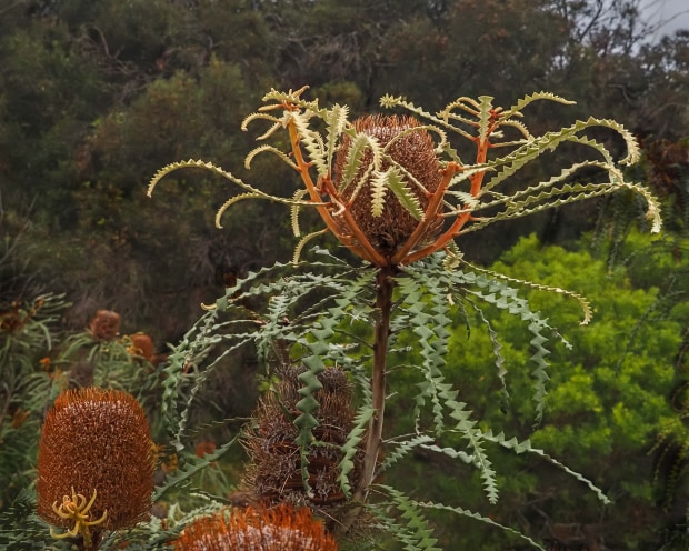 Celebration - The Landscape Awards