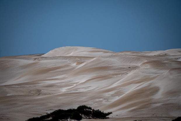 Sandhill at Cactus Beach - The Landscape Awards
