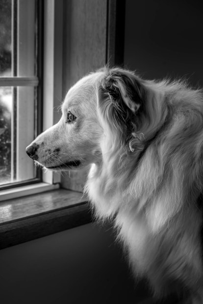 Patience - The Mono Awards