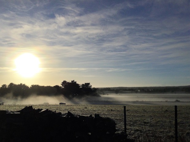 Minus one degree morning - Australian Photography