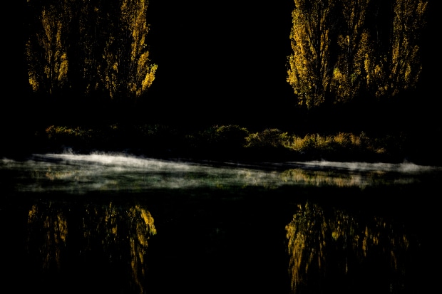 Reflected Trees - Australian Photography