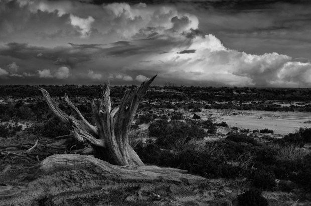 Country In The Blood - Australian Photography