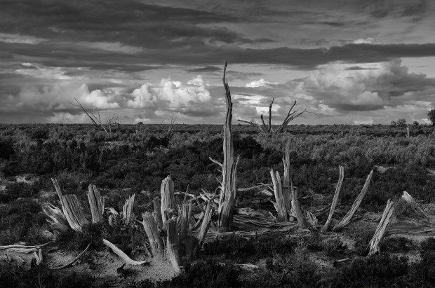 Country In The Blood - Australian Photography