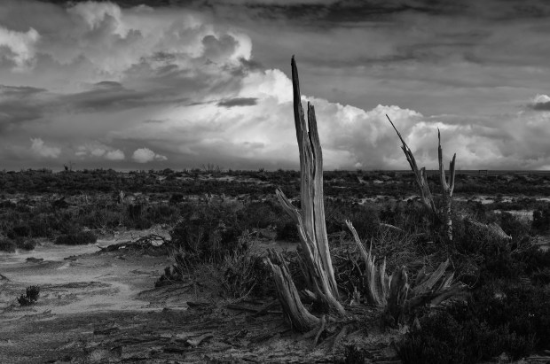 Country In The Blood - Australian Photography