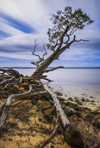 weyba ghost trees - Australian Photography