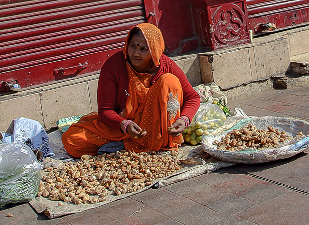 Indian Lady selling her Street Food - Australian Photography
