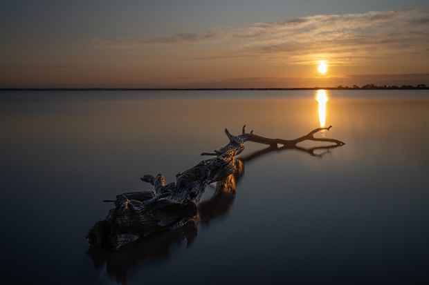 Log over water - The Landscape Awards