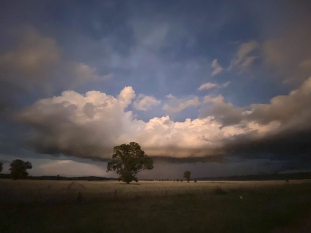 Mood Cloud - The Landscape Awards