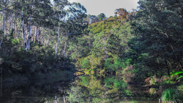 Colourful reflection. - Australian Photography