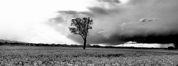 Here I stand...... - The Landscape Awards