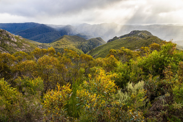 Round Mountain 2 - The Landscape Awards
