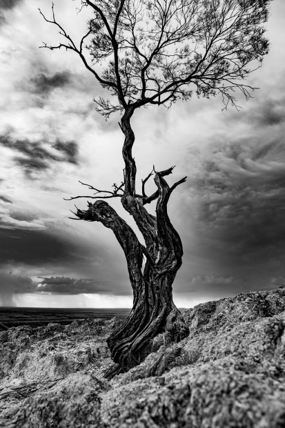 Standing the test of time - The Mono Awards