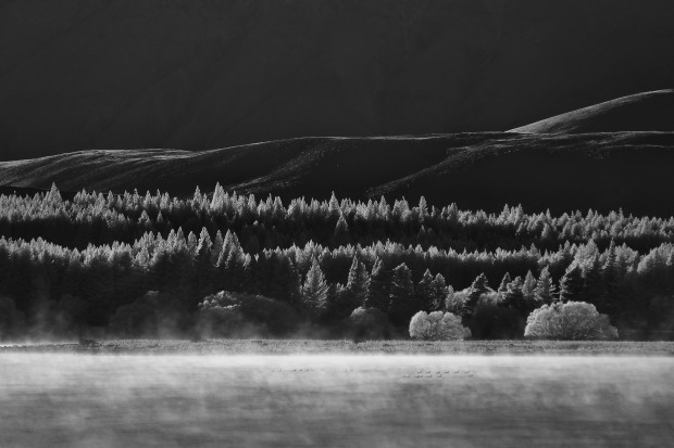 23 Ducks - The Mono Awards