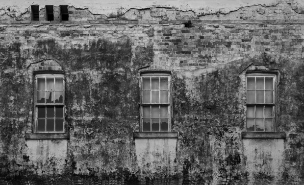 Windows into the lunatic asylum - The Mono Awards