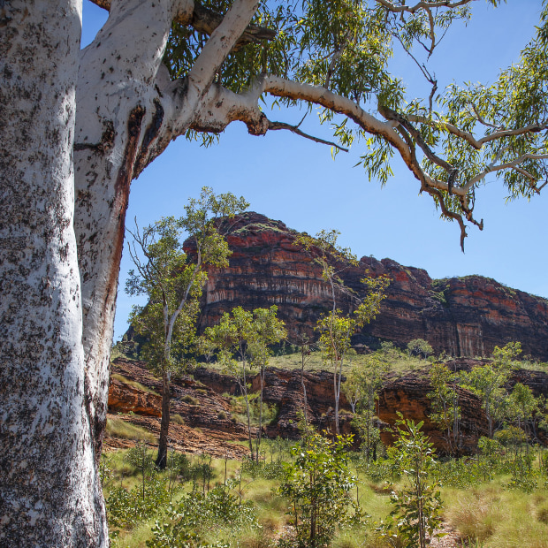 Kimberley - the dry Tropics - Australian Photography