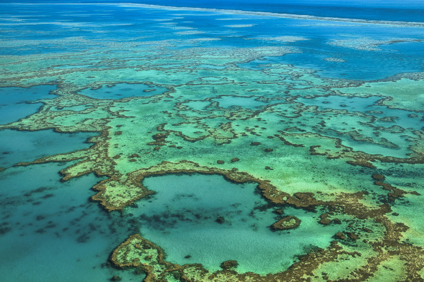 The Reef - Australian Photography