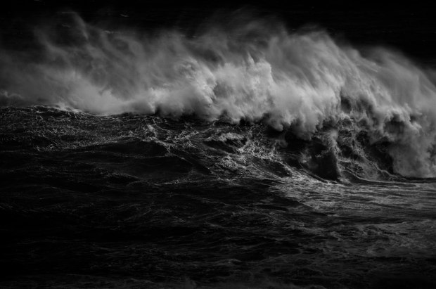 GALE FORCE - The Landscape Awards