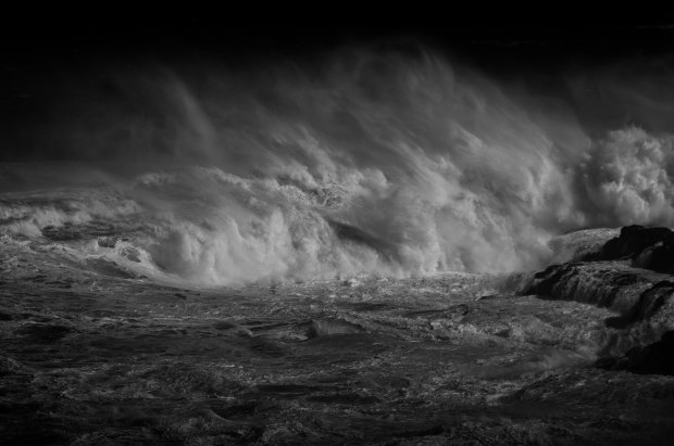 GALE FORCE WINDS - The Landscape Awards