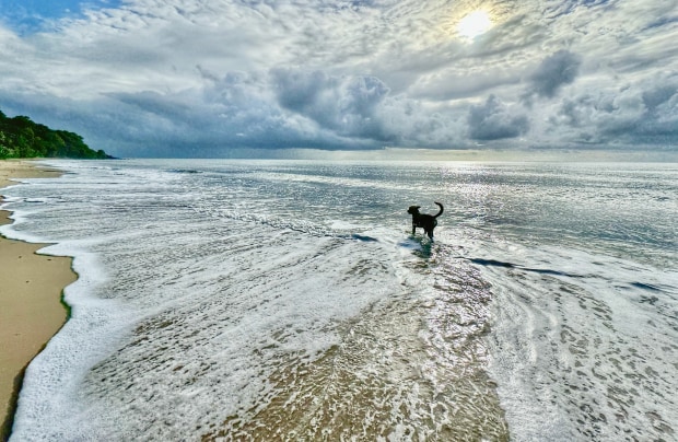 Beach Day - The Landscape Awards