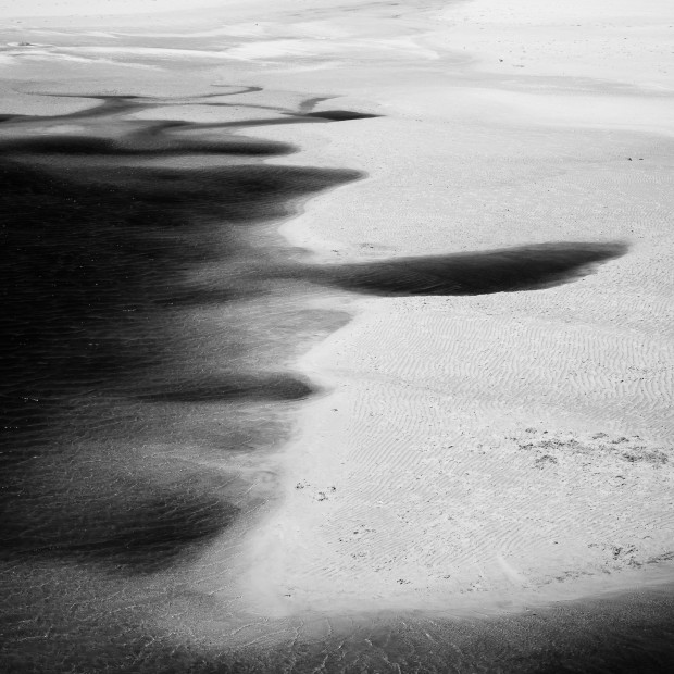 Scamander River - The Mono Awards