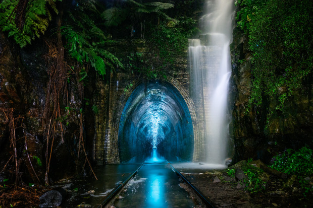 Worm Hole - The Landscape Awards