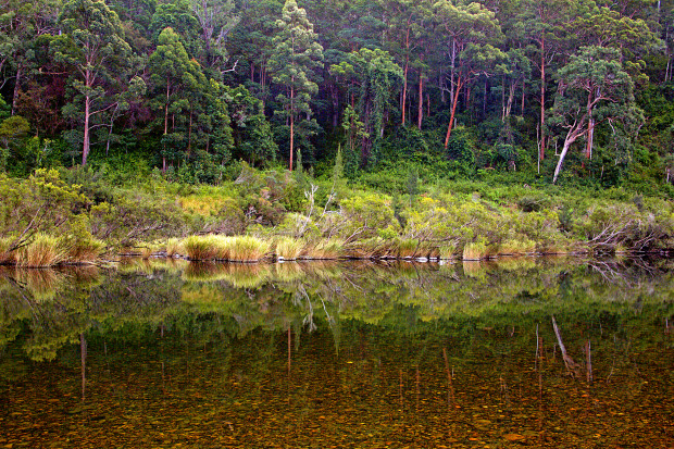 River Reflections - Australian Photography